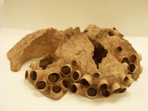 K-12 Clay Exhibition Foundation, Inc.